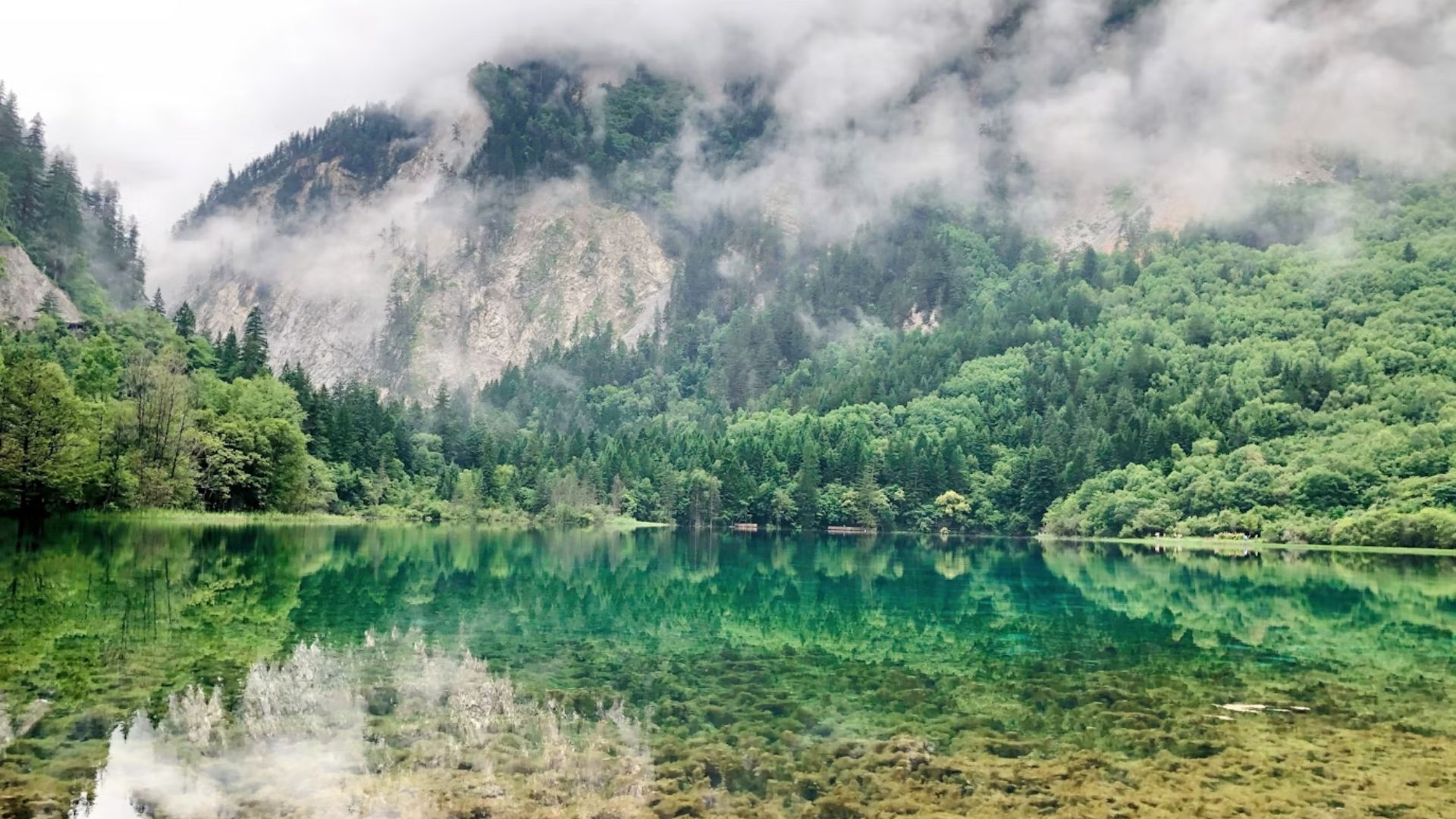 Jiuzhaigou National Park: Uncover China’s Dreamiest Nature Destination