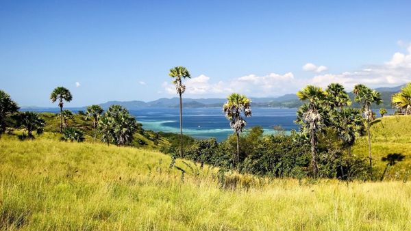 Flights To Bali Cancelled Over Volcano Eruption In Indonesia