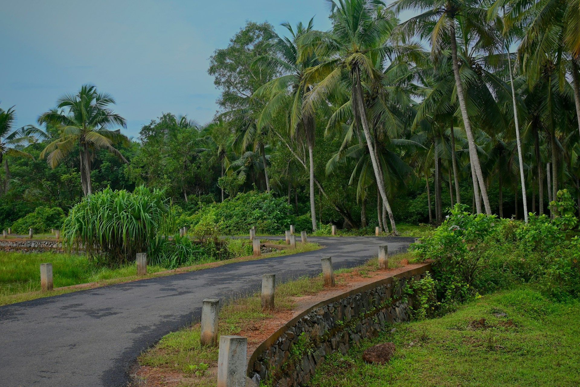 Places To Visit In Kasaragod, North Kerala's Secret Escape