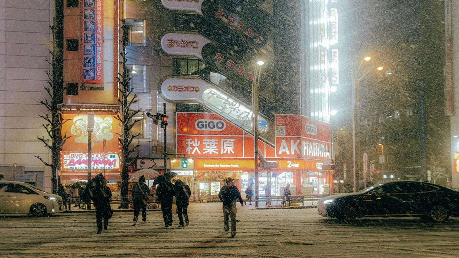 Tokyo’s Winter Wonderland: Unmissable Things To Do, Explore, And Eat