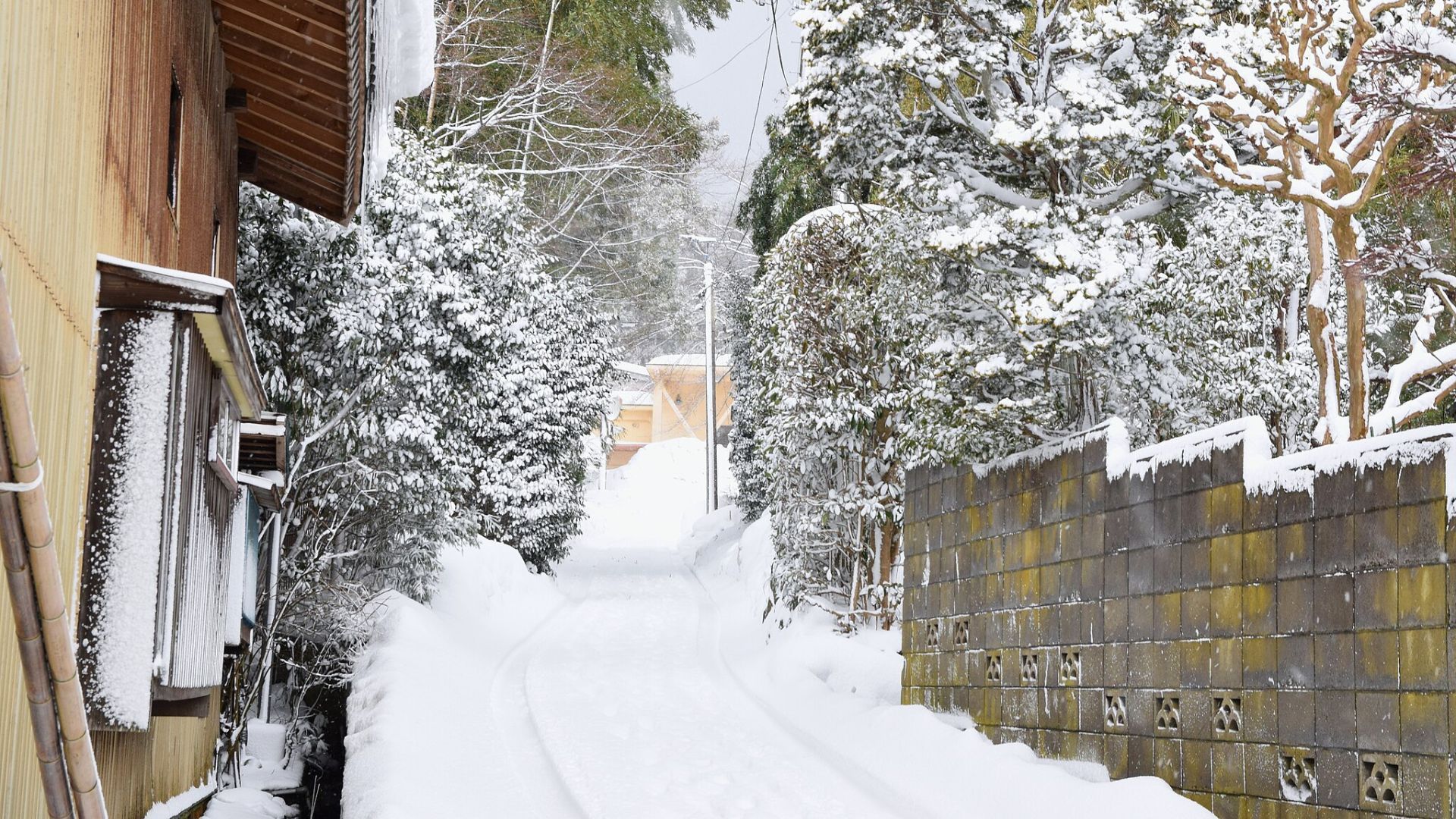 Snowfall Destinations Near Malaysia: Top Sites For A White Winter Holiday