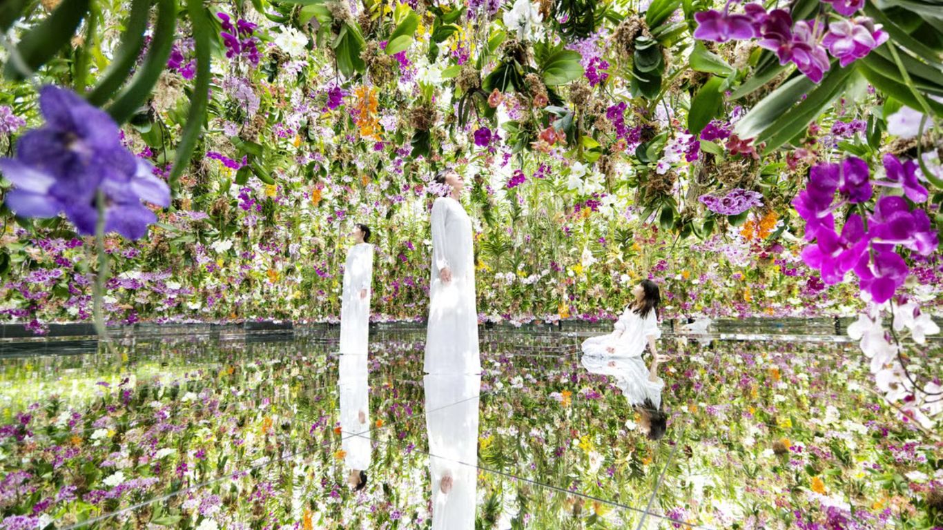 Which TeamLab Should You Visit in Japan — Tokyo, Osaka, or Kyoto?