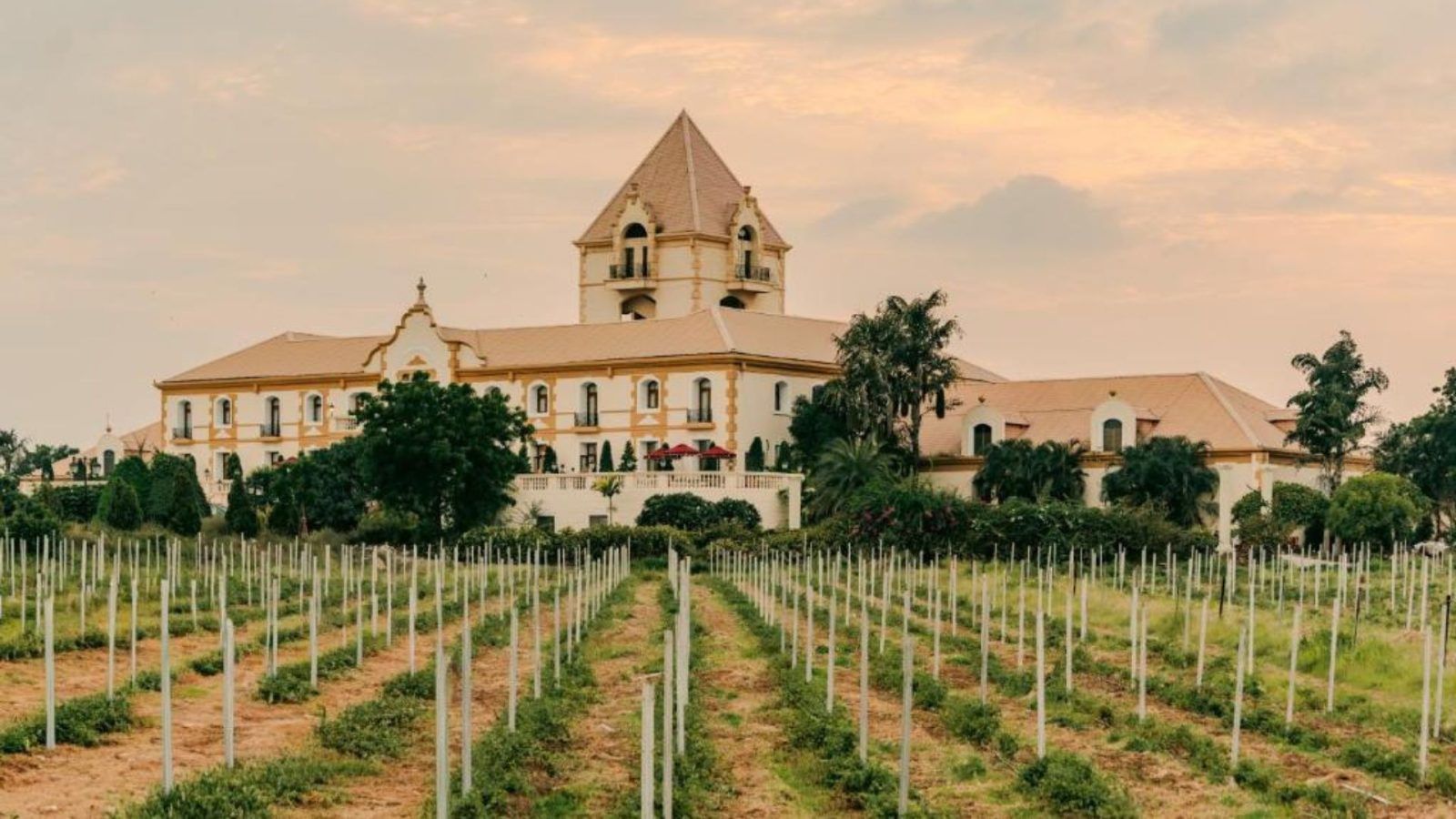 Vineyard Hotels In India: 5 Luxe Retreats To Sip, Savour And Unwind