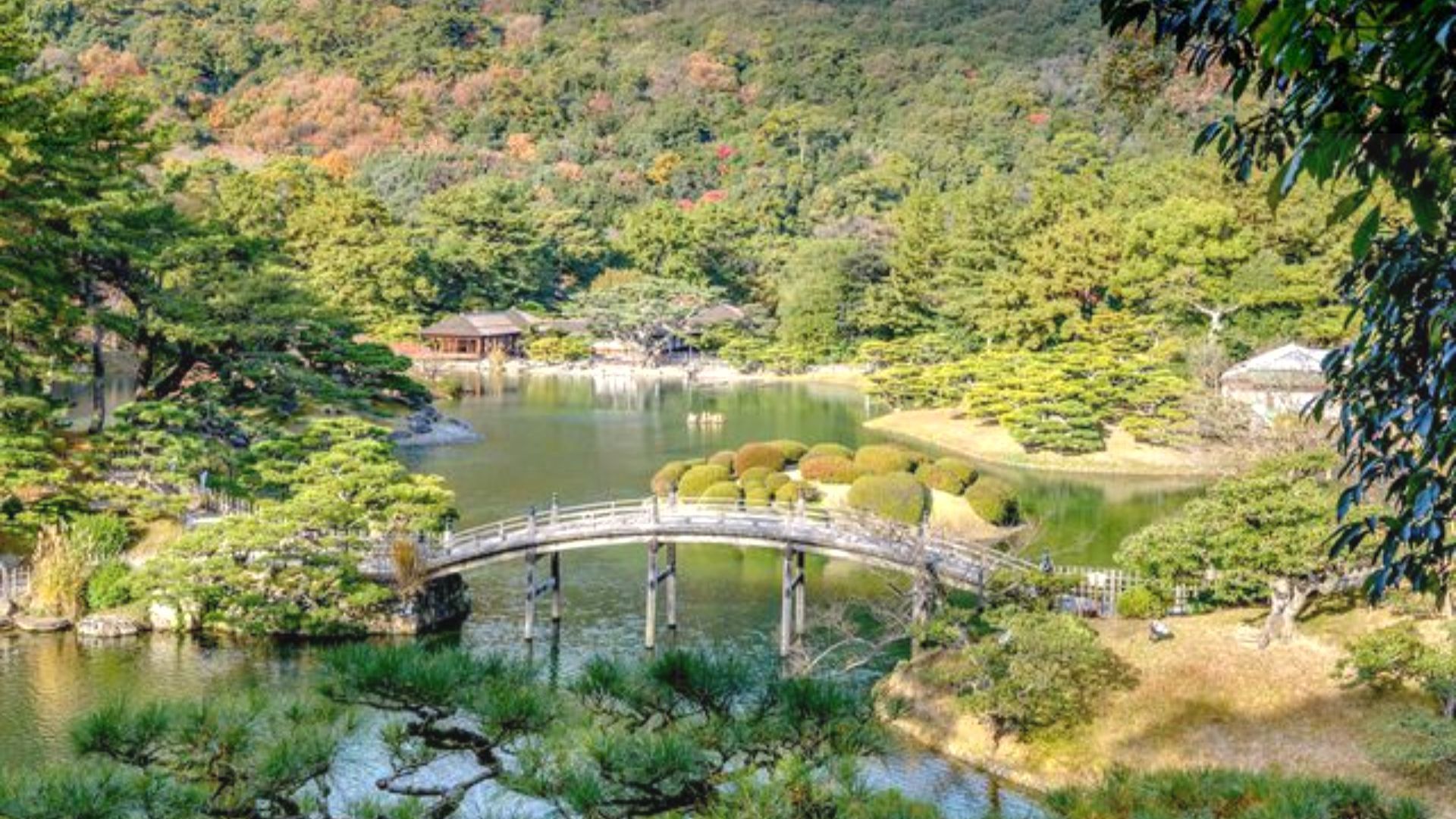 3 Incredible Itineraries For Travellers Finally Heading Back To Japan