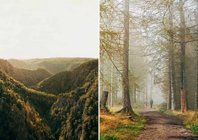 A Guide To Visit Some Of The Most Beautiful German Forests In The World