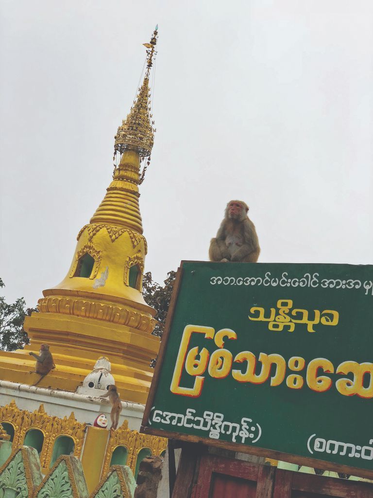 The Ultimate Family Endurance Test: Climb Mount Popa with the Kids