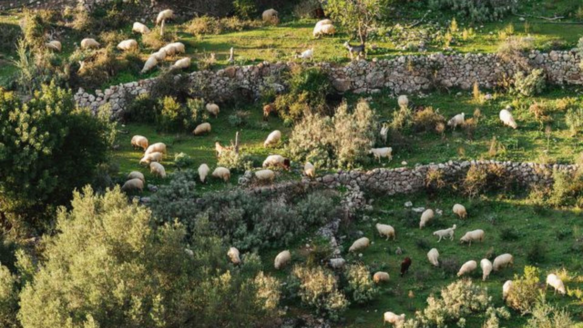 Why Albania Is An Exciting Food Destination