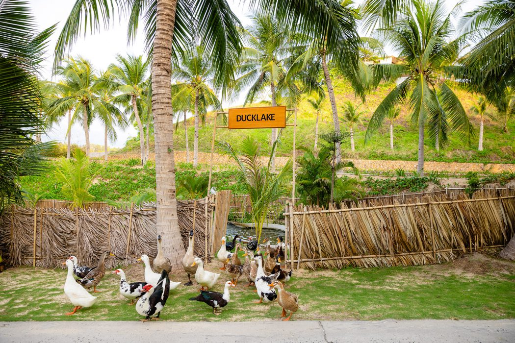 Why Resort Farms Should Be the New Normal in Sustainable Travel