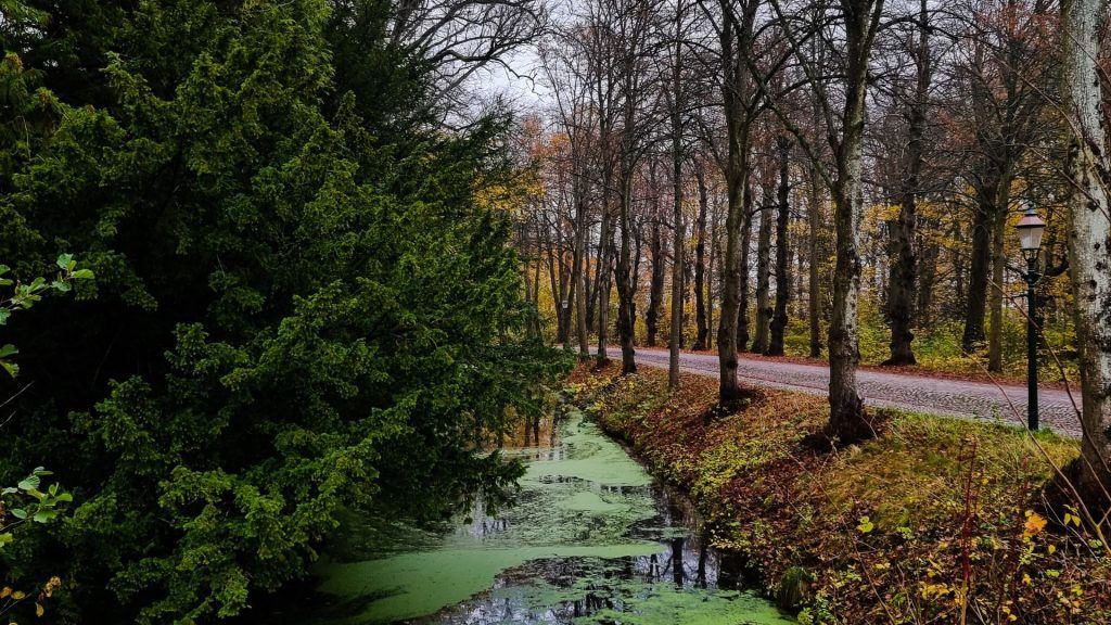 Find The Best Places To Travel In Autumn According To Your Zodiac
