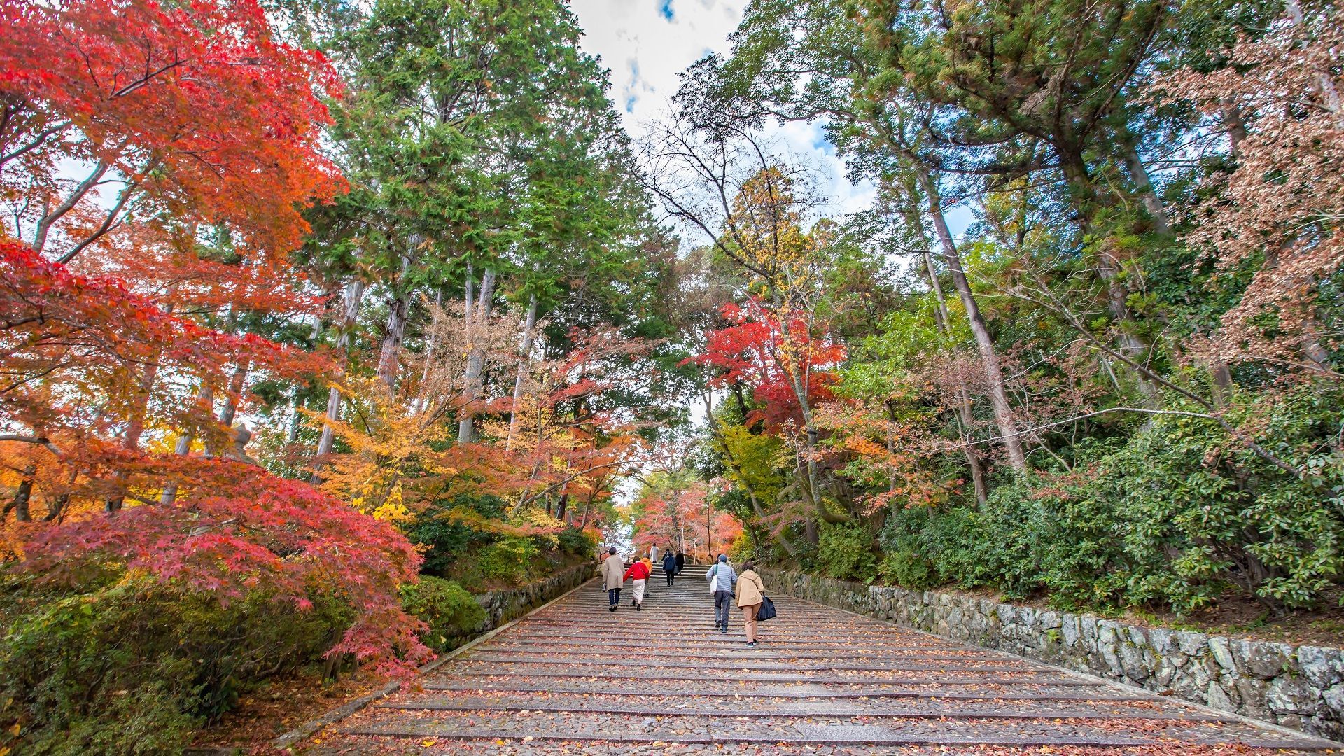 Best Places To Witness Fall Foliage Across Asia