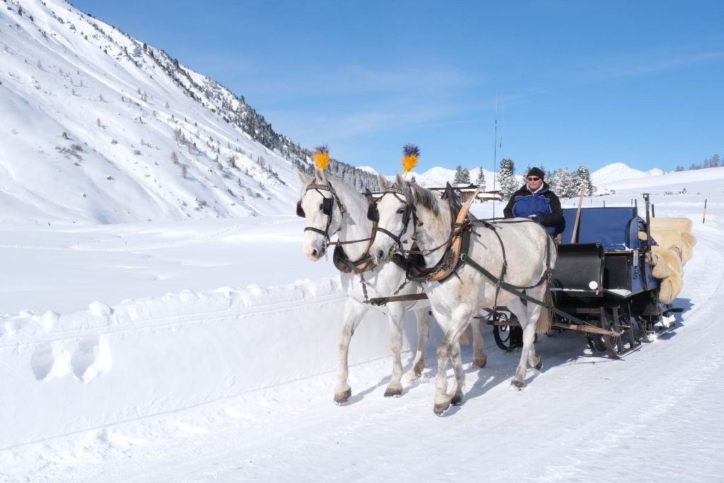 Switzerland’s Davos is the Ultimate Alpine Magic Mountain, Sports Haven ...