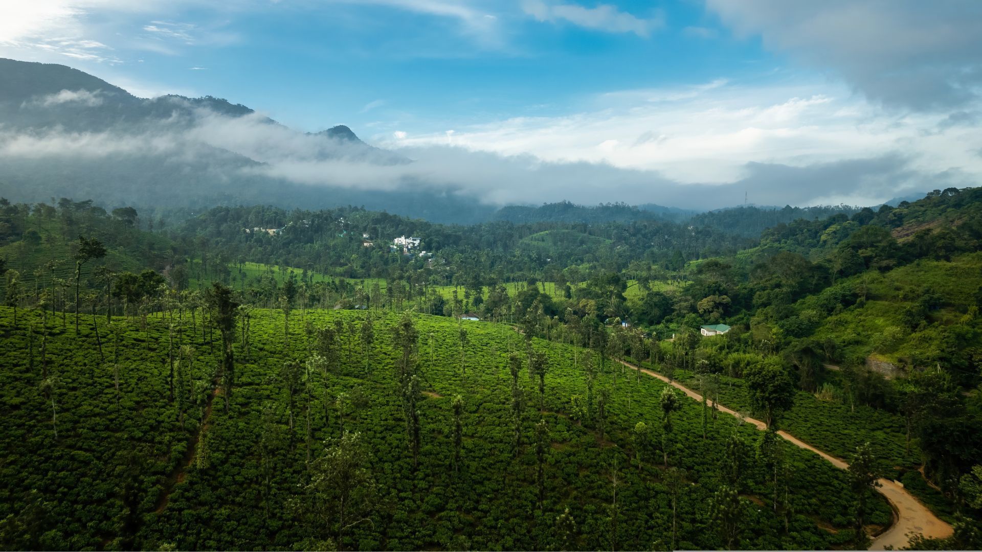 Most Beautiful Places To Visit In Kerala - Scenic Destinations (With ...