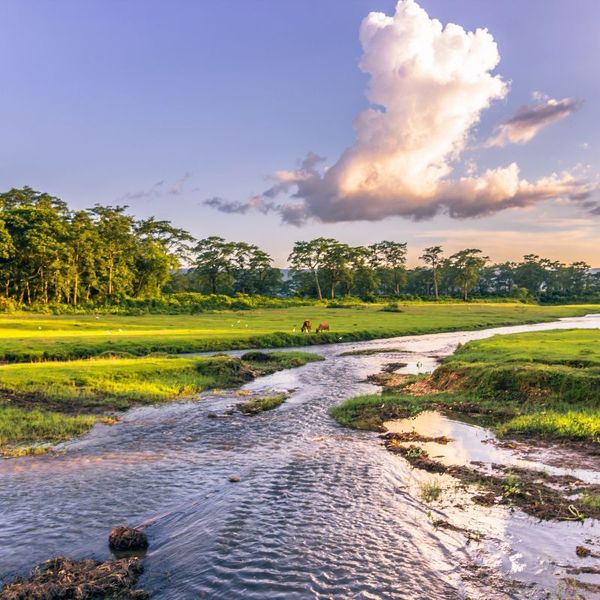 DalBhat, Momos & Sel Roti: Must-Try Food In Nepal | Nepalese Cuisine