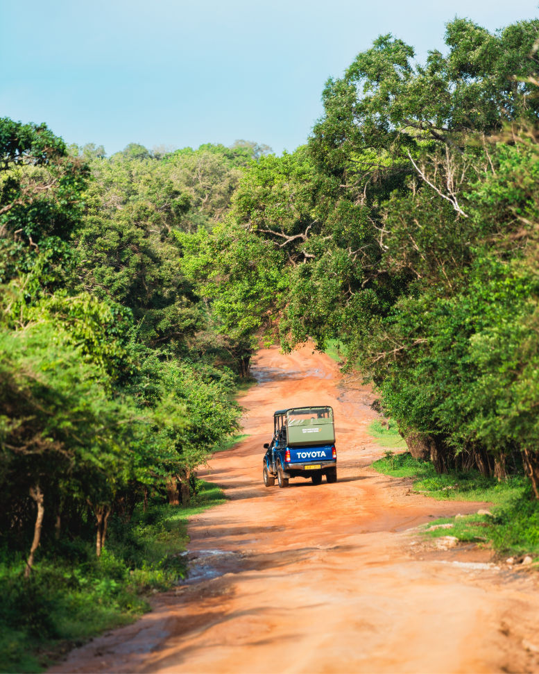Review: Hilton Yala Resort, Sri Lanka