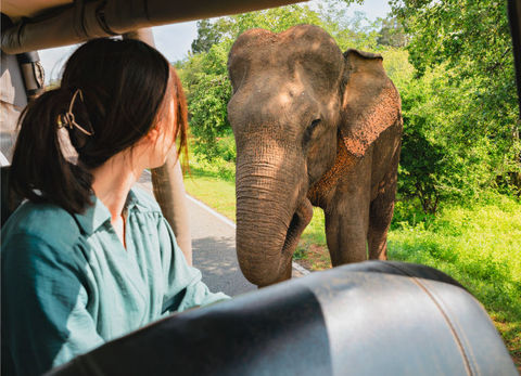 Review: Hilton Yala Resort, Sri Lanka