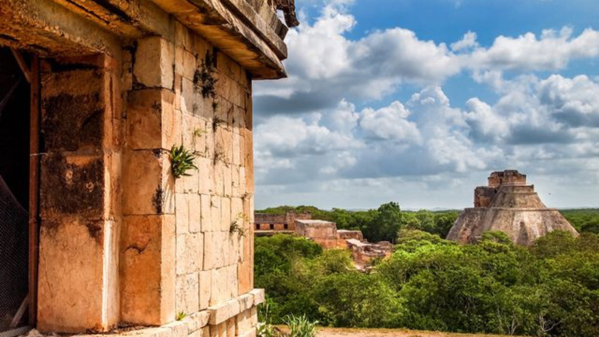 Mérida In Mexico Is A Favourite Among Locals; Here's How To Visit