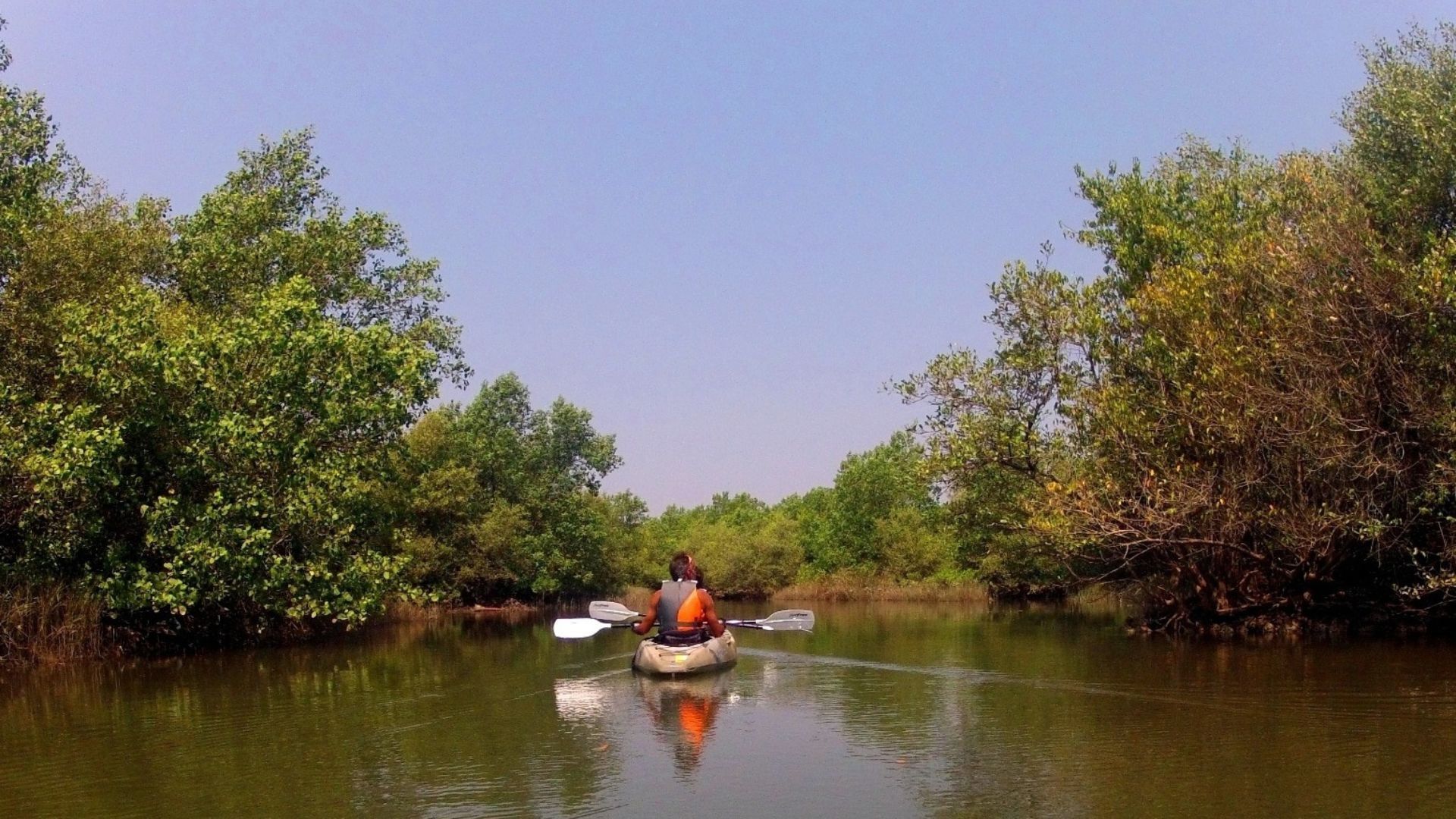 Kayaking In Goa: A Beginner's Guide To Goa Kayaking Tour & Activities 2024