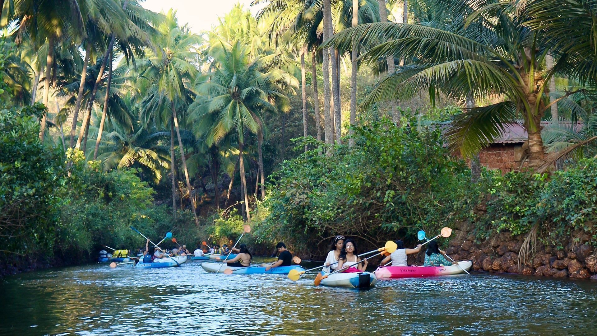 Kayaking In Goa: A Beginner's Guide To Goa Kayaking Tour & Activities 2024