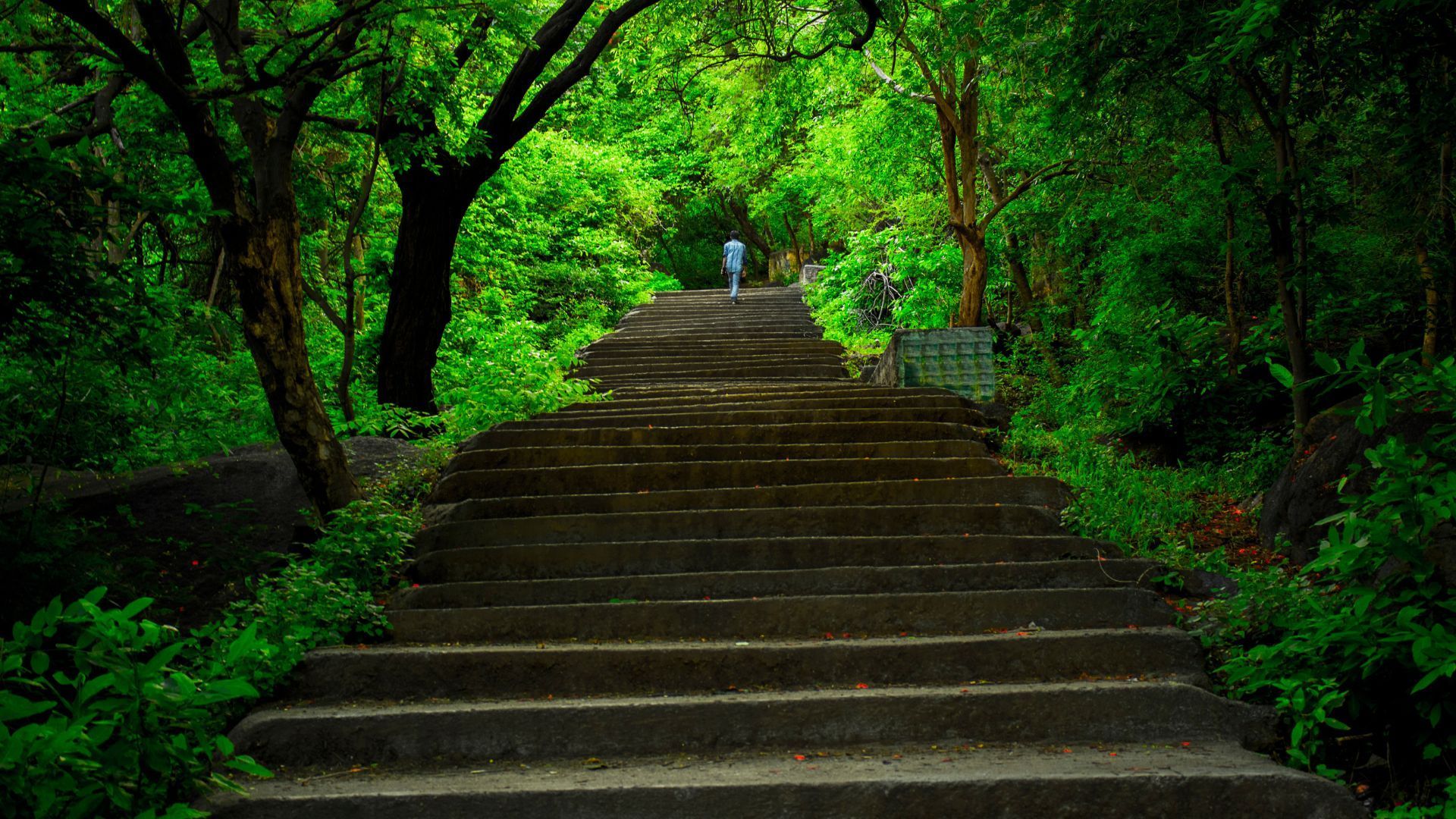 South India In Summer: Hill Stations, Beaches, Backwaters & Waterfalls 2024