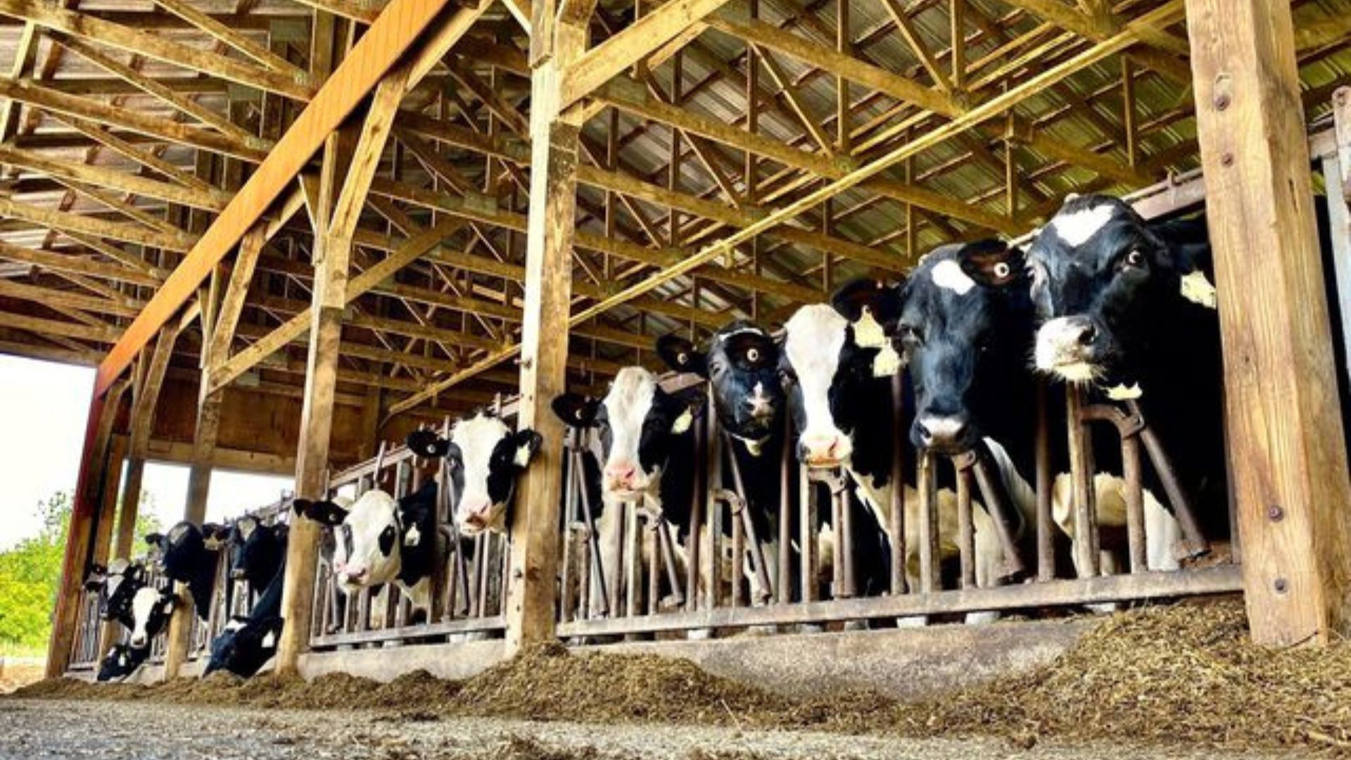 Brattleboro In Vermont Is The Most Charming Town In New England