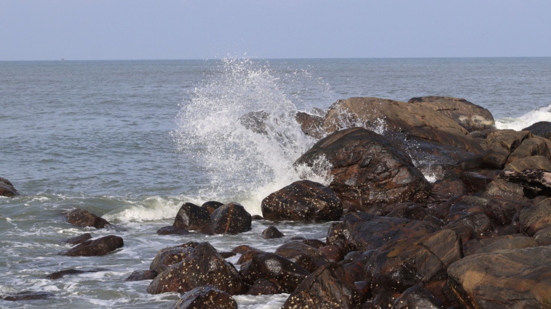 Backwaters, Beaches & Food: Things To Do In Kozhikode - City Of ...