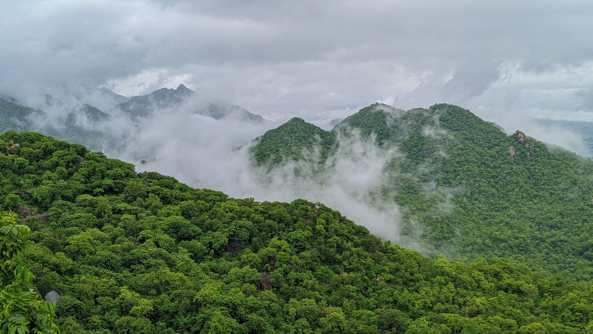 Rajasthan In Monsoon 2024: Best Places To Visit In Desert State For ...