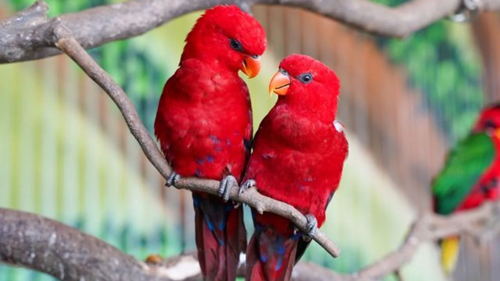 Waterfalls, Hills & Lakes: Top Tourist Places In Yercaud Hill Station ...