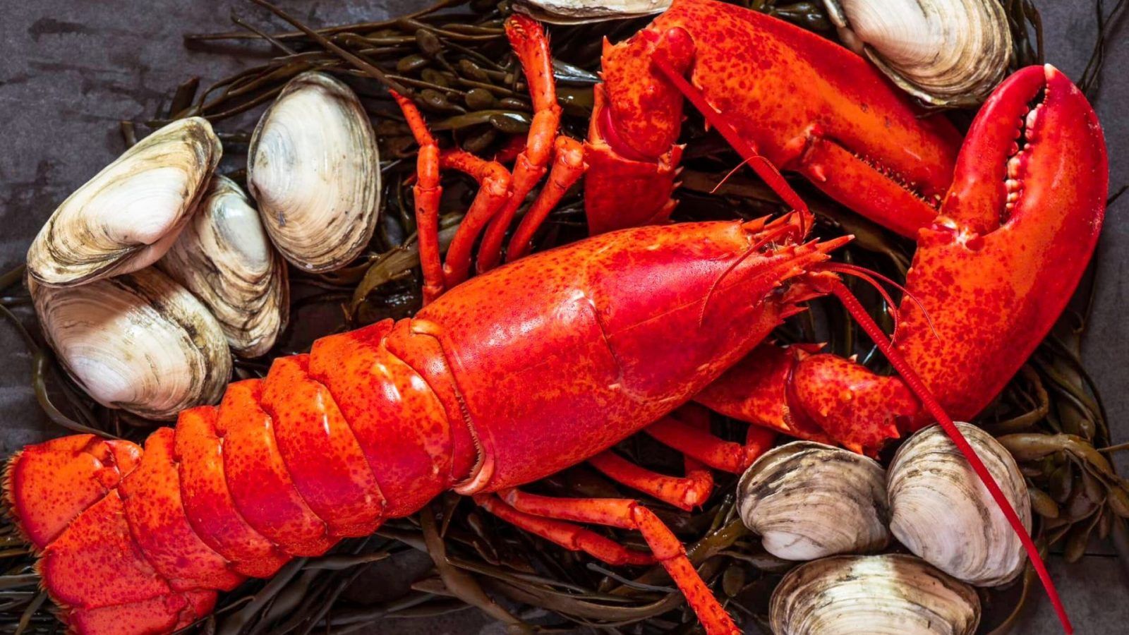 Nova Scotia: Relish World's Freshest Seafood At Canada's East Coast 2024