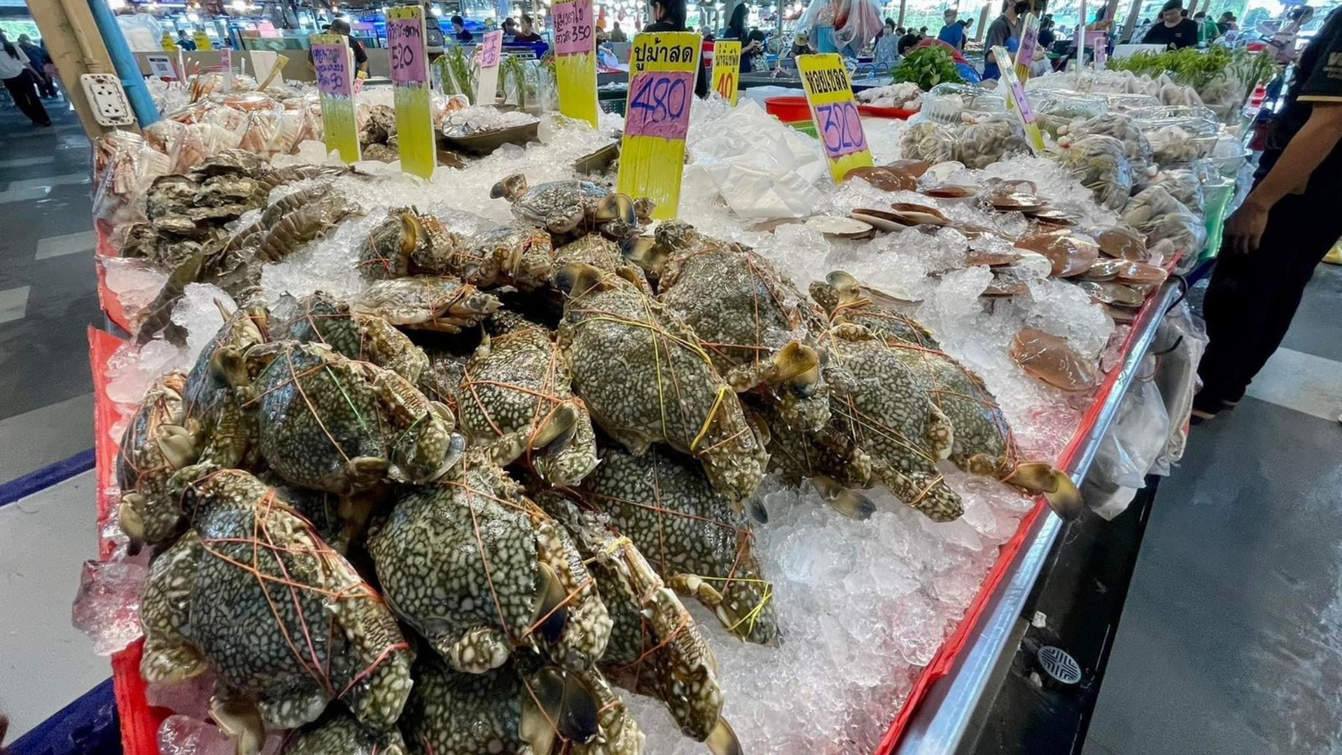 Thonburi Market Place – A Must-Visit For Foodies And Bargain Hunters