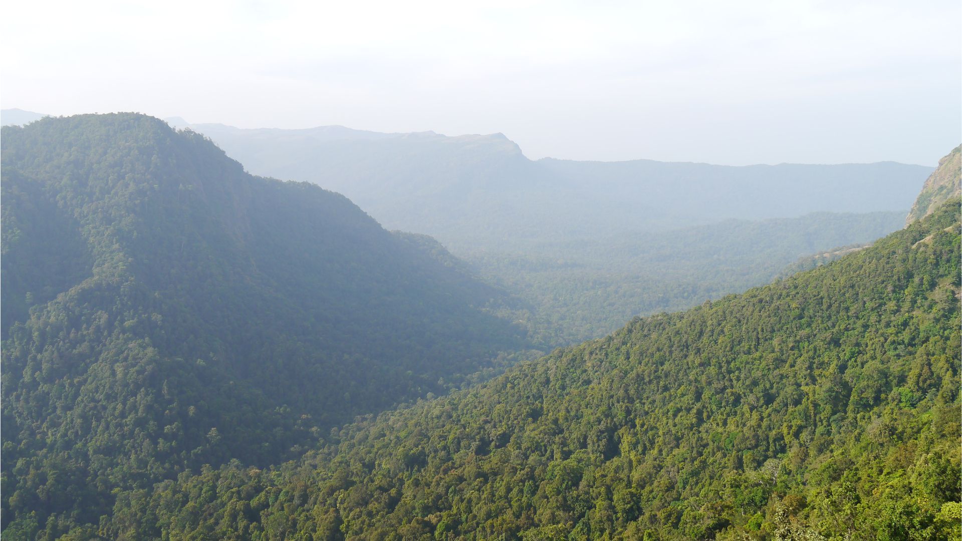 Places To Visit In Chikmagalur: From Misty Mountains To Coffee Estates