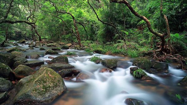 All You Need To Know About Hong Kong's Legendary Tai Po Market