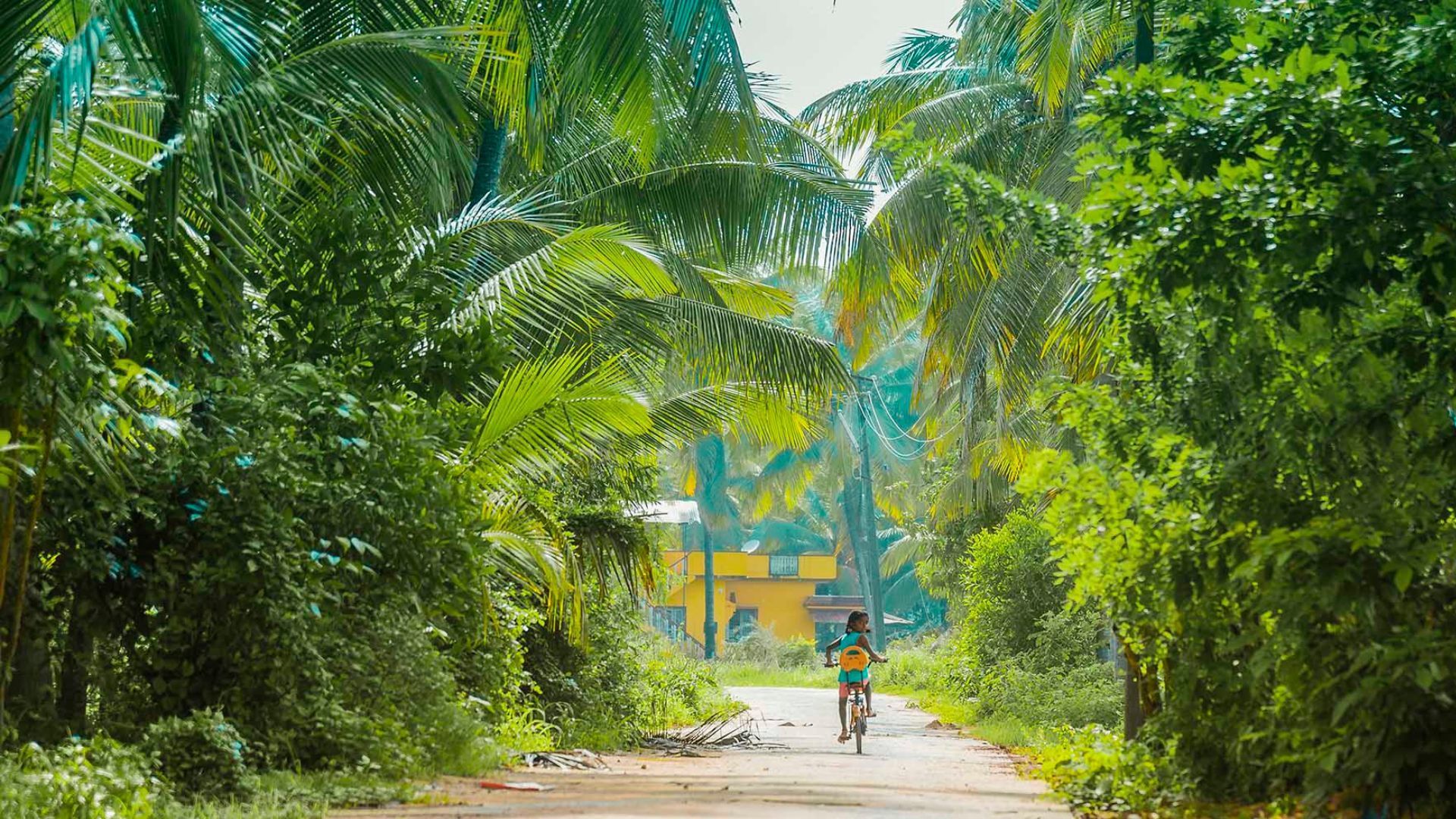 Udupi In Winter: Explore The Charms Of Coastal Karnataka