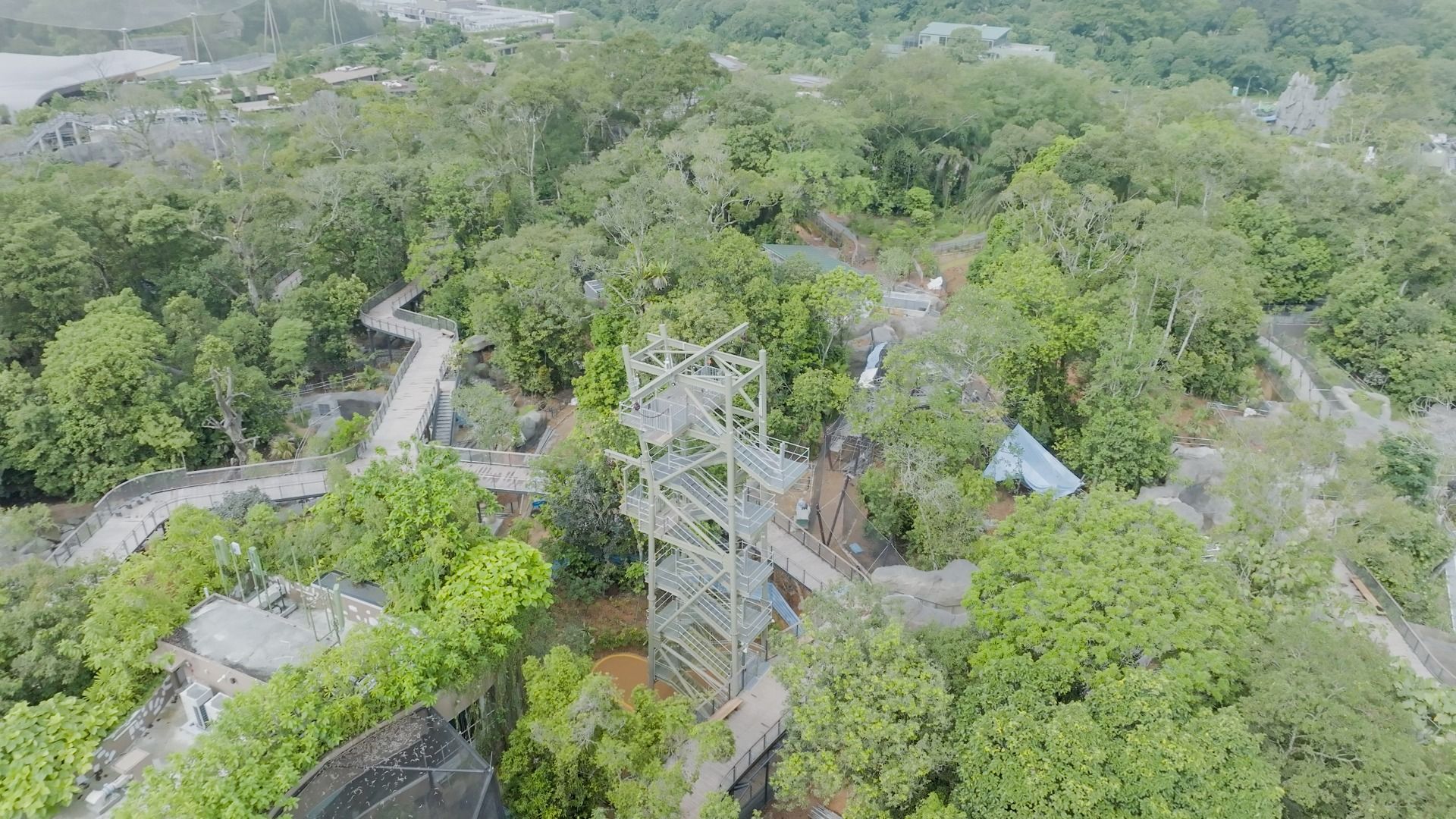 Rainforest Wild Asia: All About The New Singapore Wildlife Park