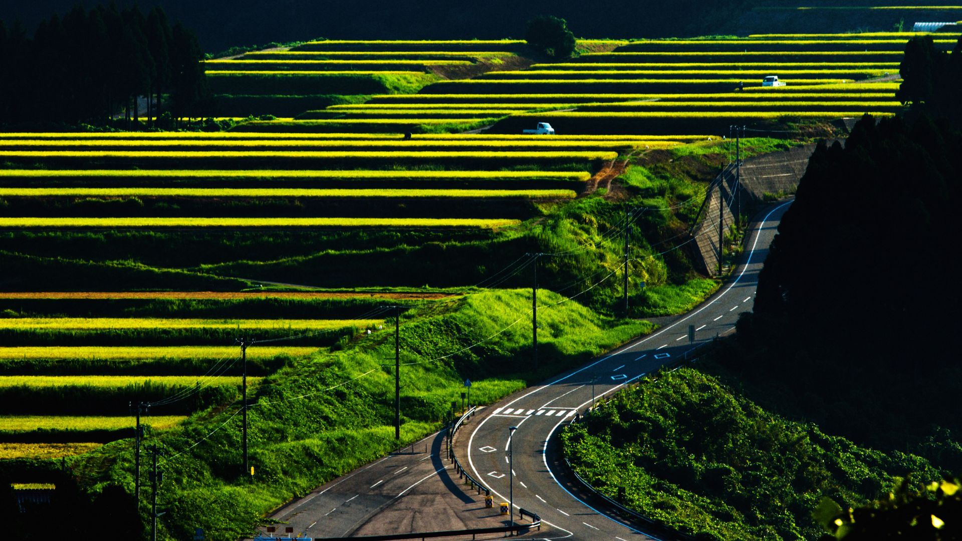 Best Time to Visit Japan: A Seasonal Guide