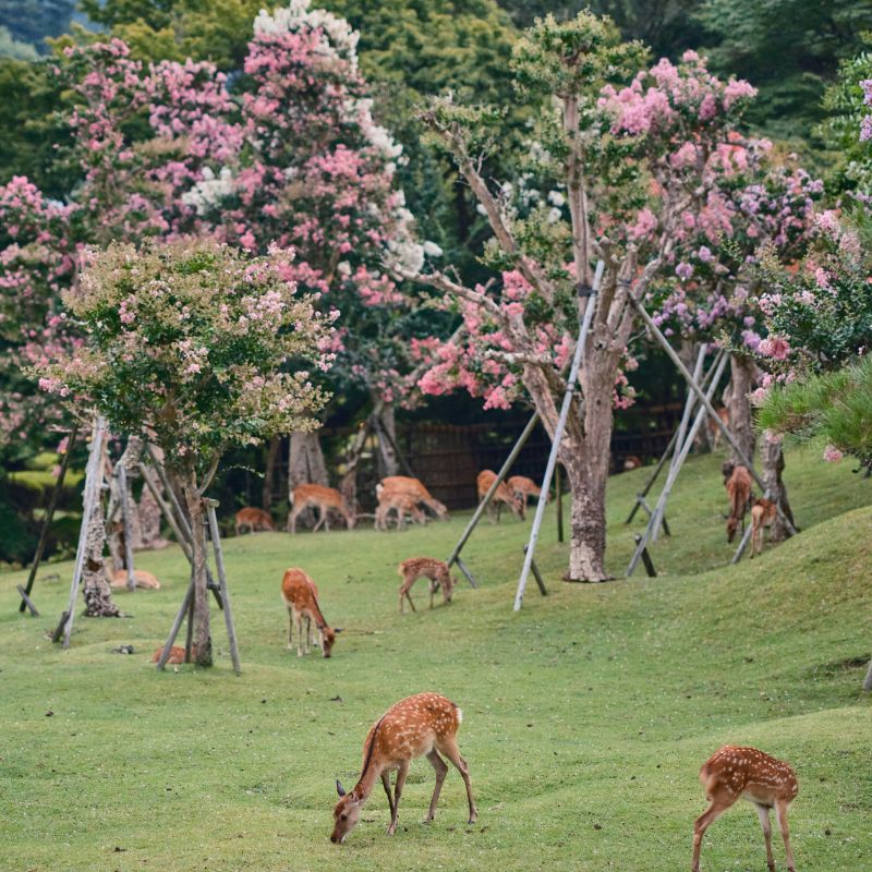 Kai Tak Shopping Mall: Spotlighting Hong Kong's Latest Sportainment Hub