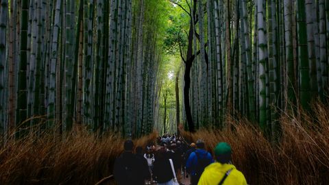 Kyoto Takes Aim At Overtourism With Steep Hotel Tax Increase