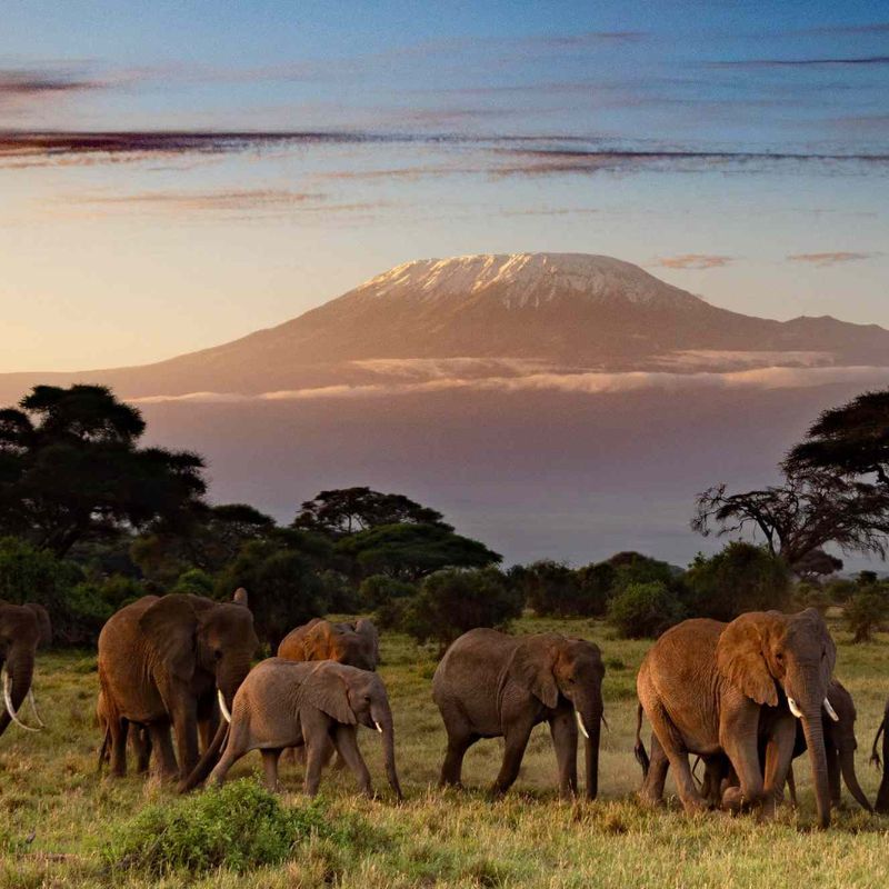 How To Plan Your Mount Kilimanjaro Climb And What To Expect
