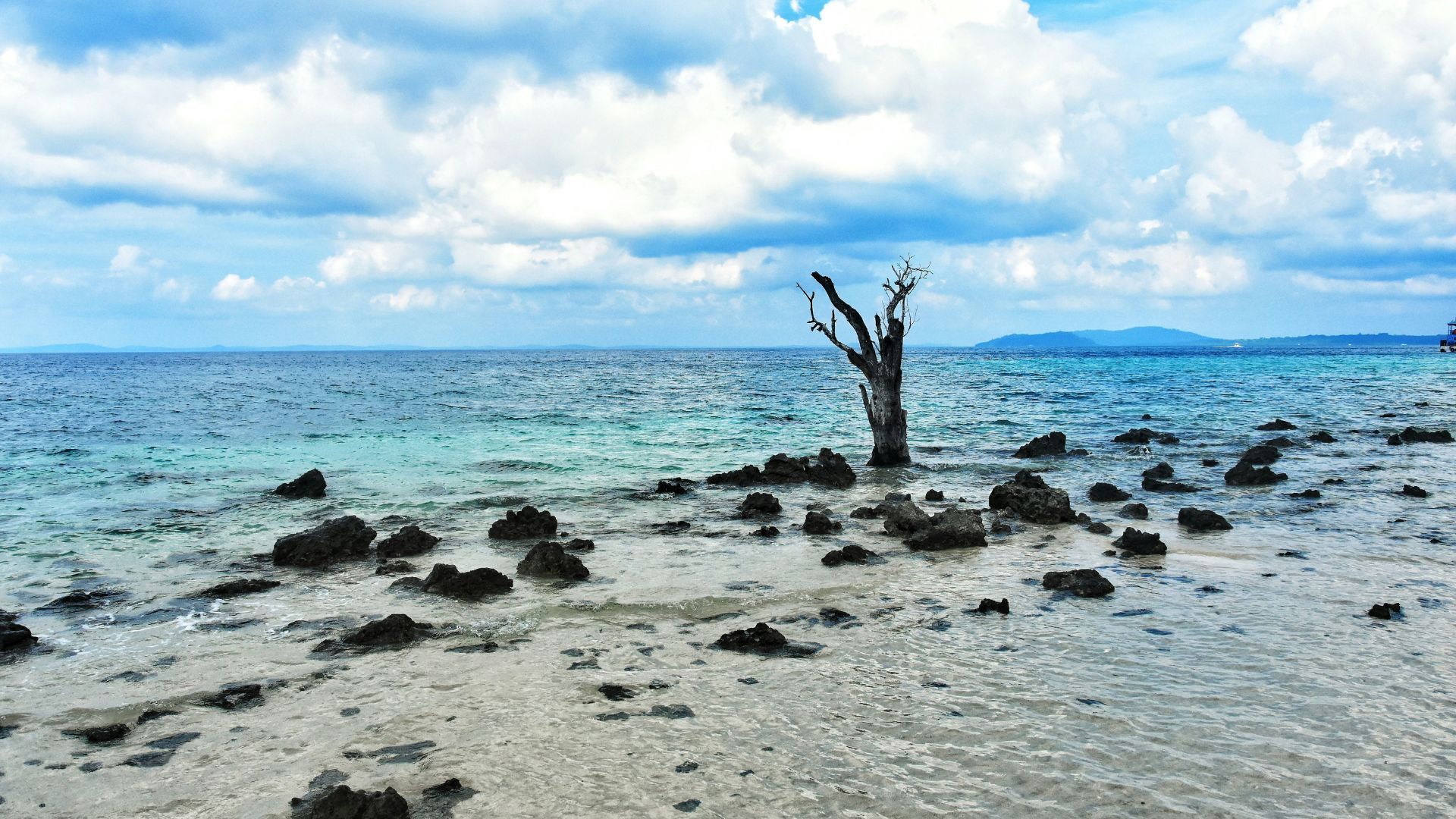 Andaman Tourist Places: Explore The Island’s Most Breathtaking Sights