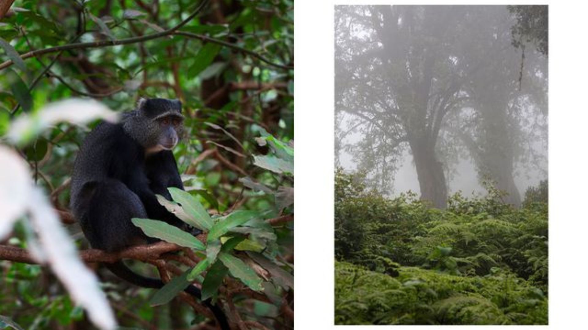 Hiking Mount Kilimanjaro: The Ultimate Guide With First-Hand Tips