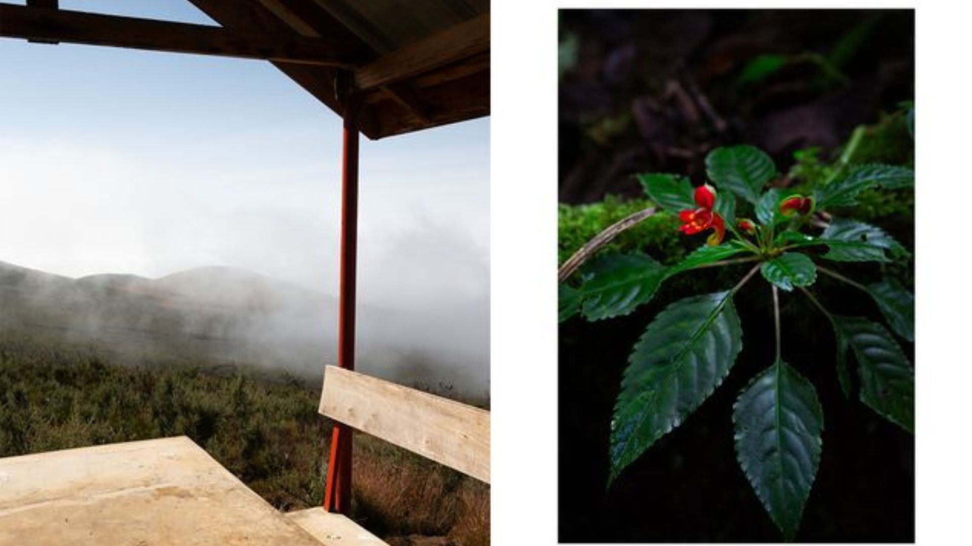 Hiking Mount Kilimanjaro: The Ultimate Guide With First-Hand Tips