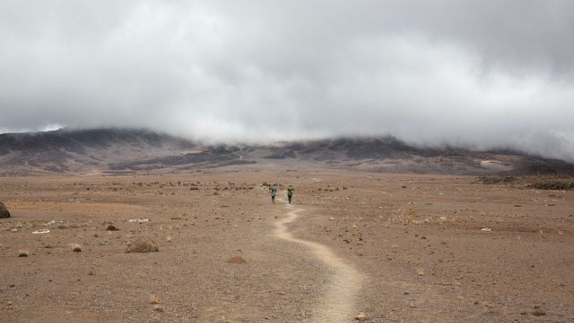 Hiking Mount Kilimanjaro: The Ultimate Guide With First-Hand Tips