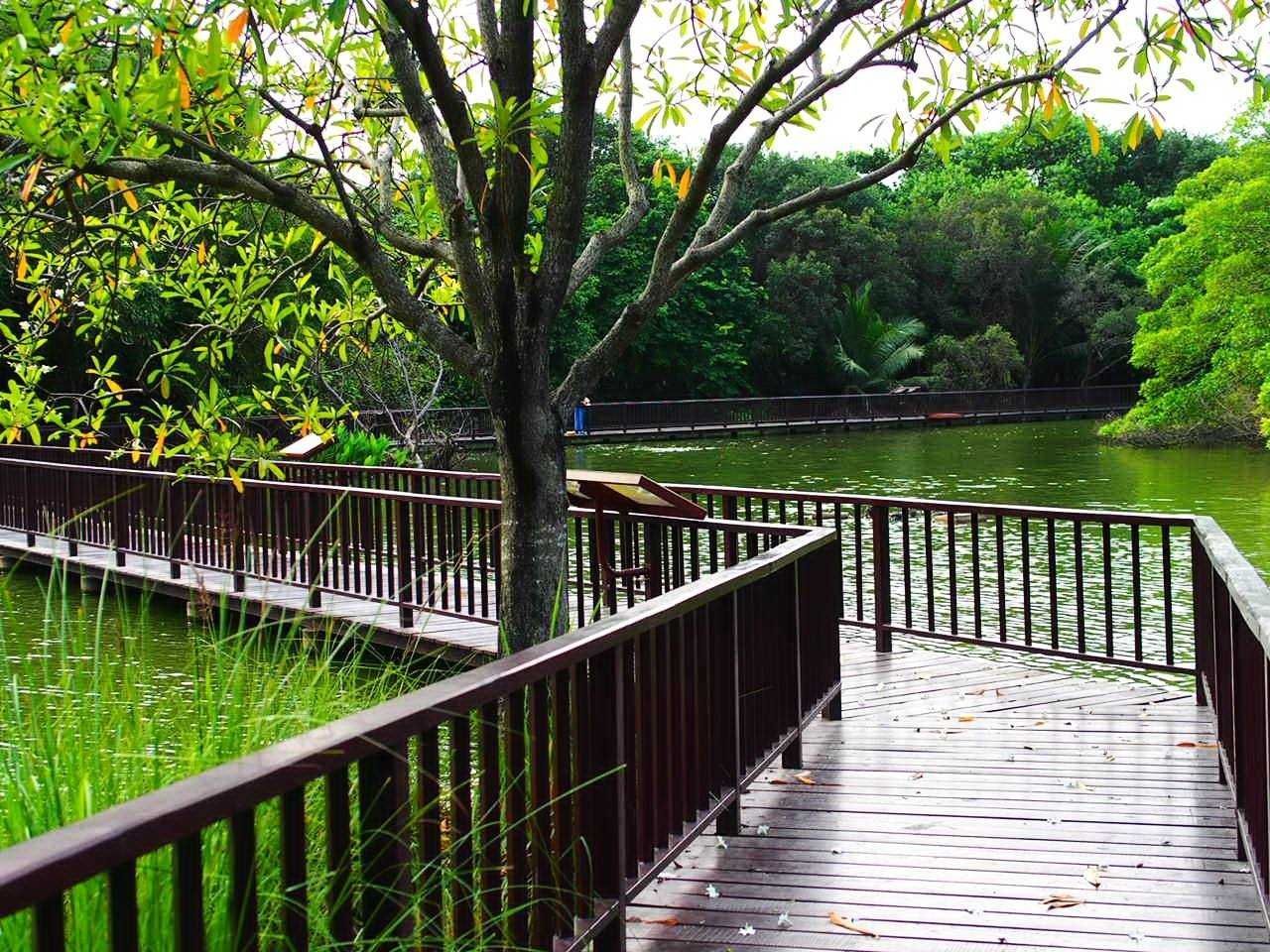 The Ultimate Guide To Bang Krachao, Also Called Bangkok's Green Lung