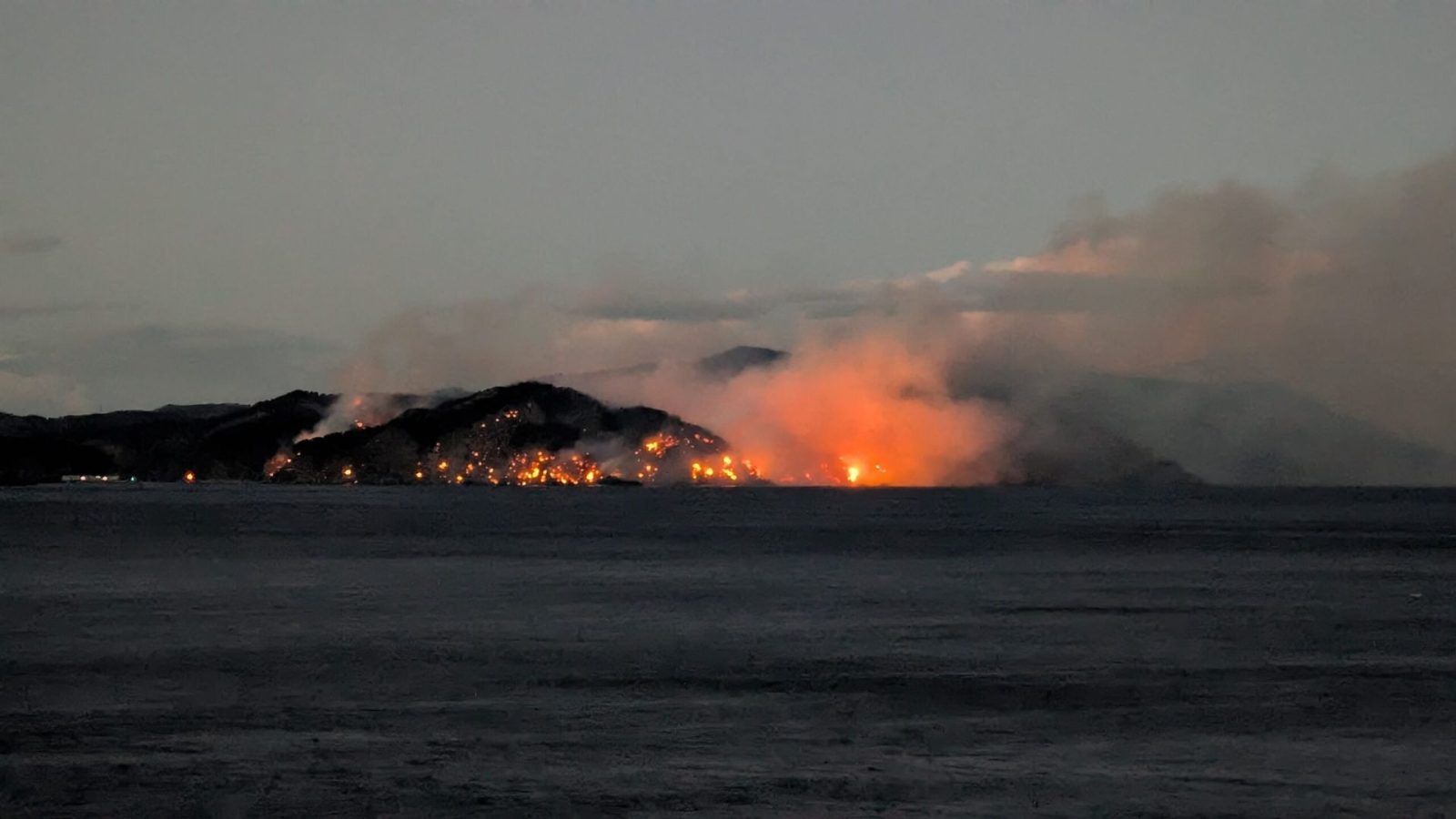Japan Wildfire Crisis: Thousands Flee Raging Ofunato Blaze