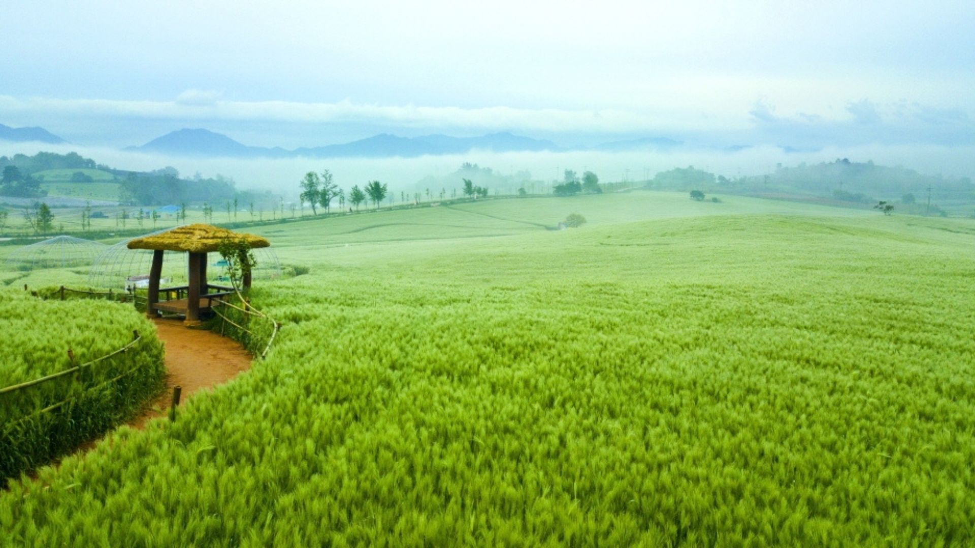 'When Life Gives You Tangerines' Shooting Locations In Jeju And Beyond