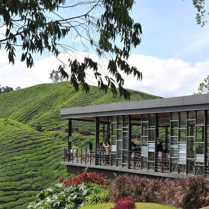 Pasar Malam Taman Connaught: Visit Kuala Lumpur's Busy Night Market