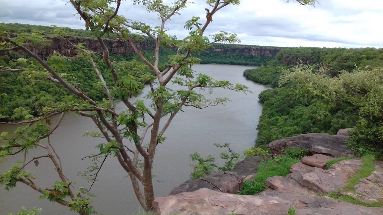 Beautiful Places To Visit And Things To Do In Kota, Rajasthan