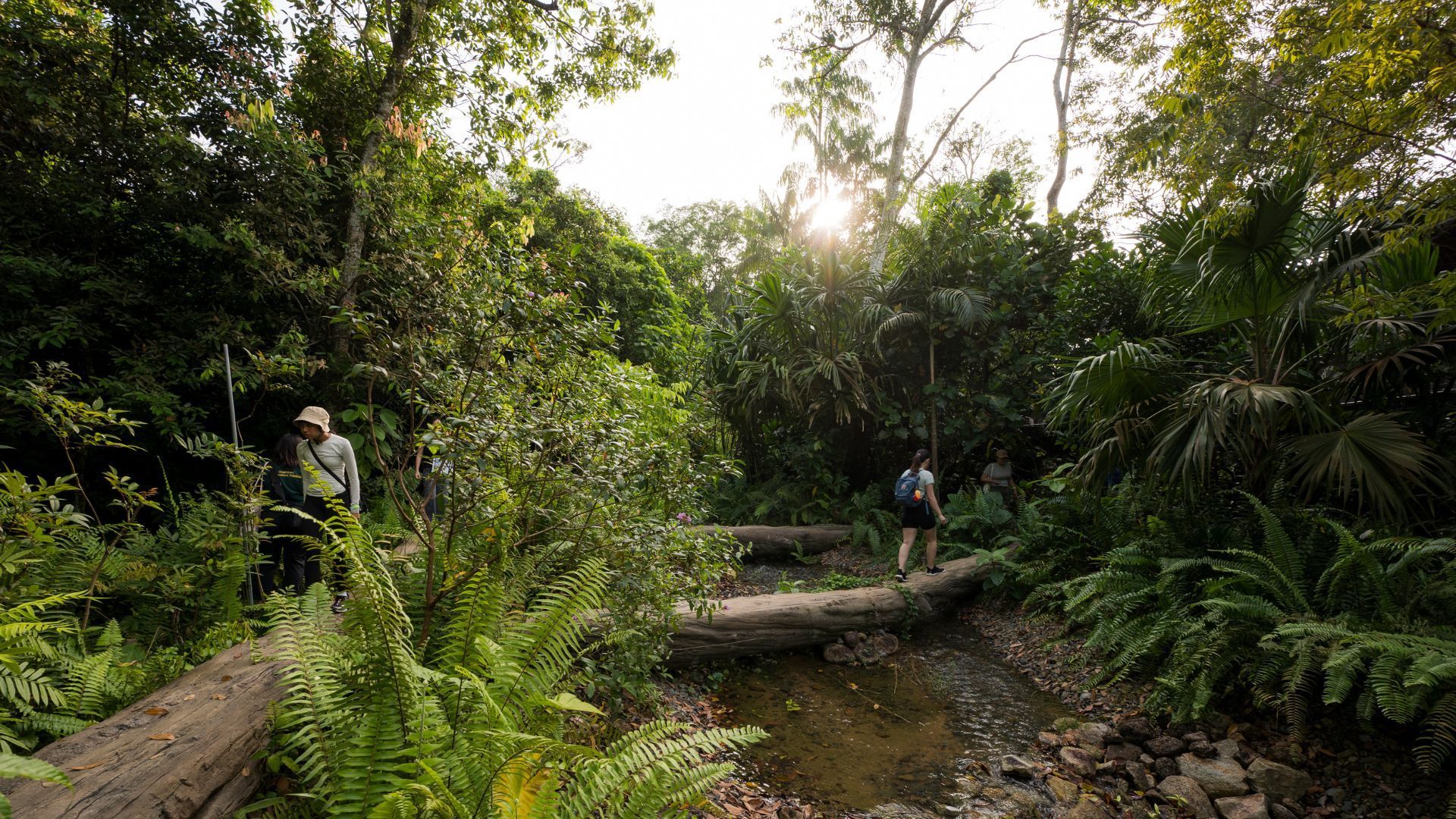 This New Adventure Zoo Lets You Walk (and Climb) with the Animals