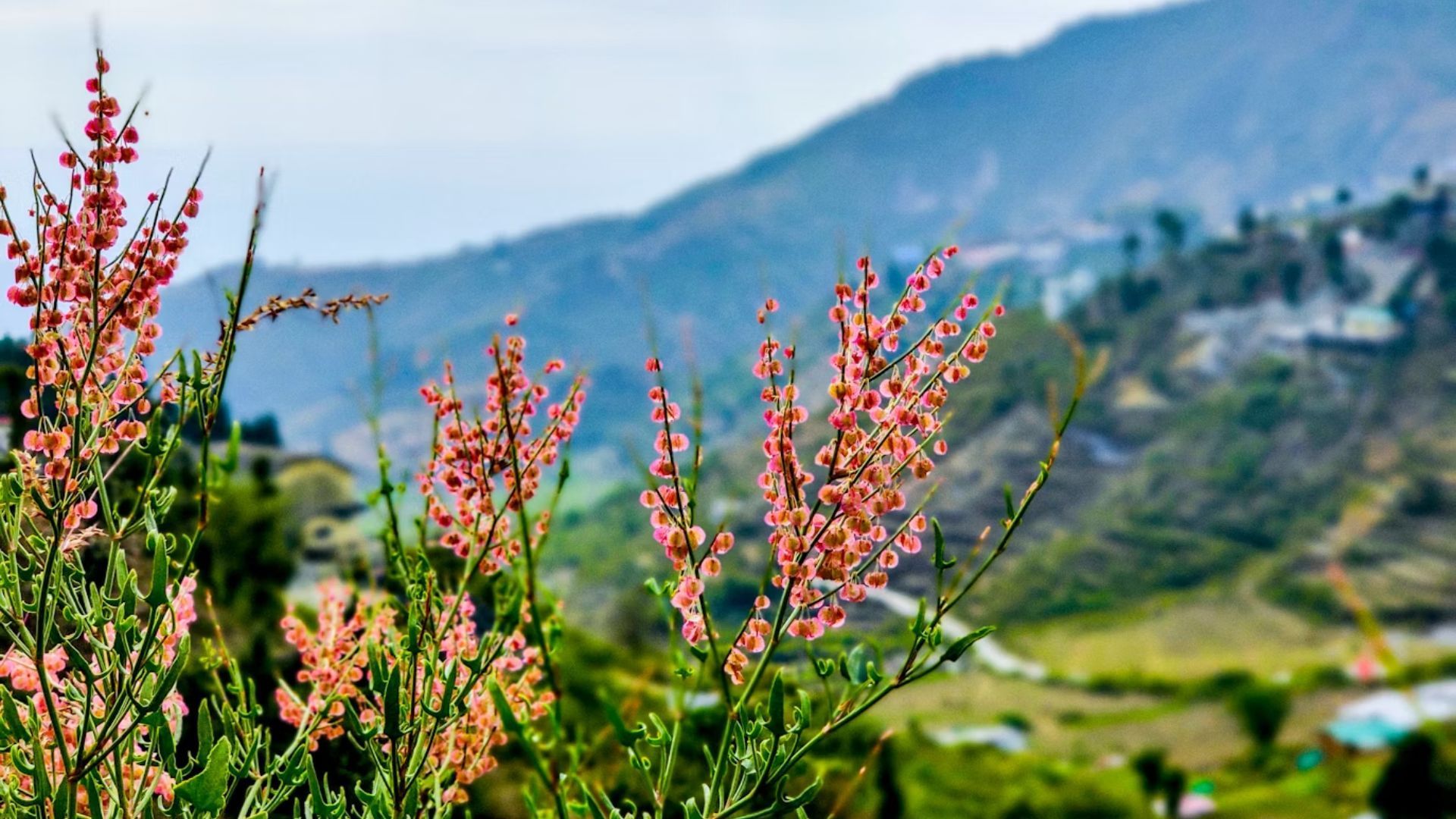 Mussoorie Travel Guide: Exploring Ruskin Bond's City In The Mountains