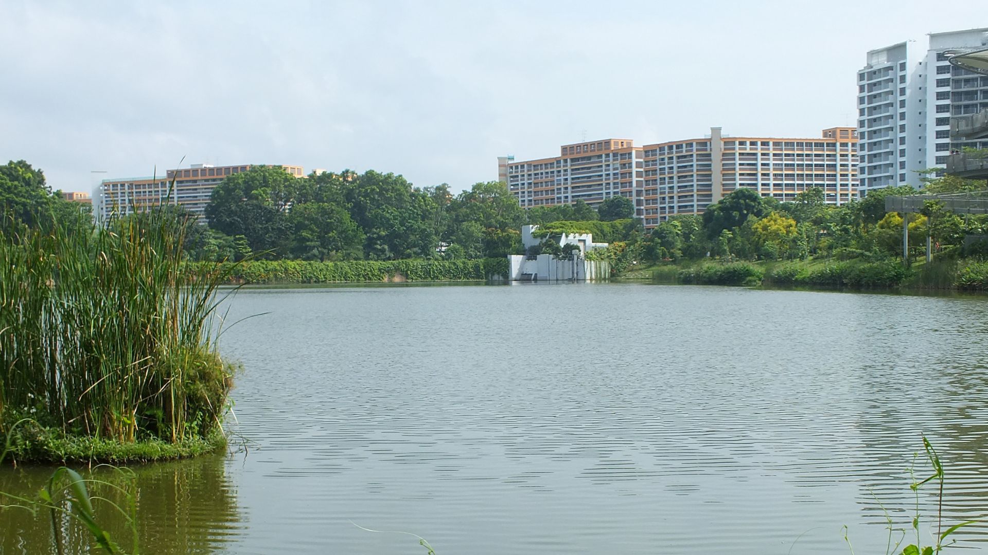 Yishun: A Local’s Guide To This Vibrant Neighbourhood In Singapore
