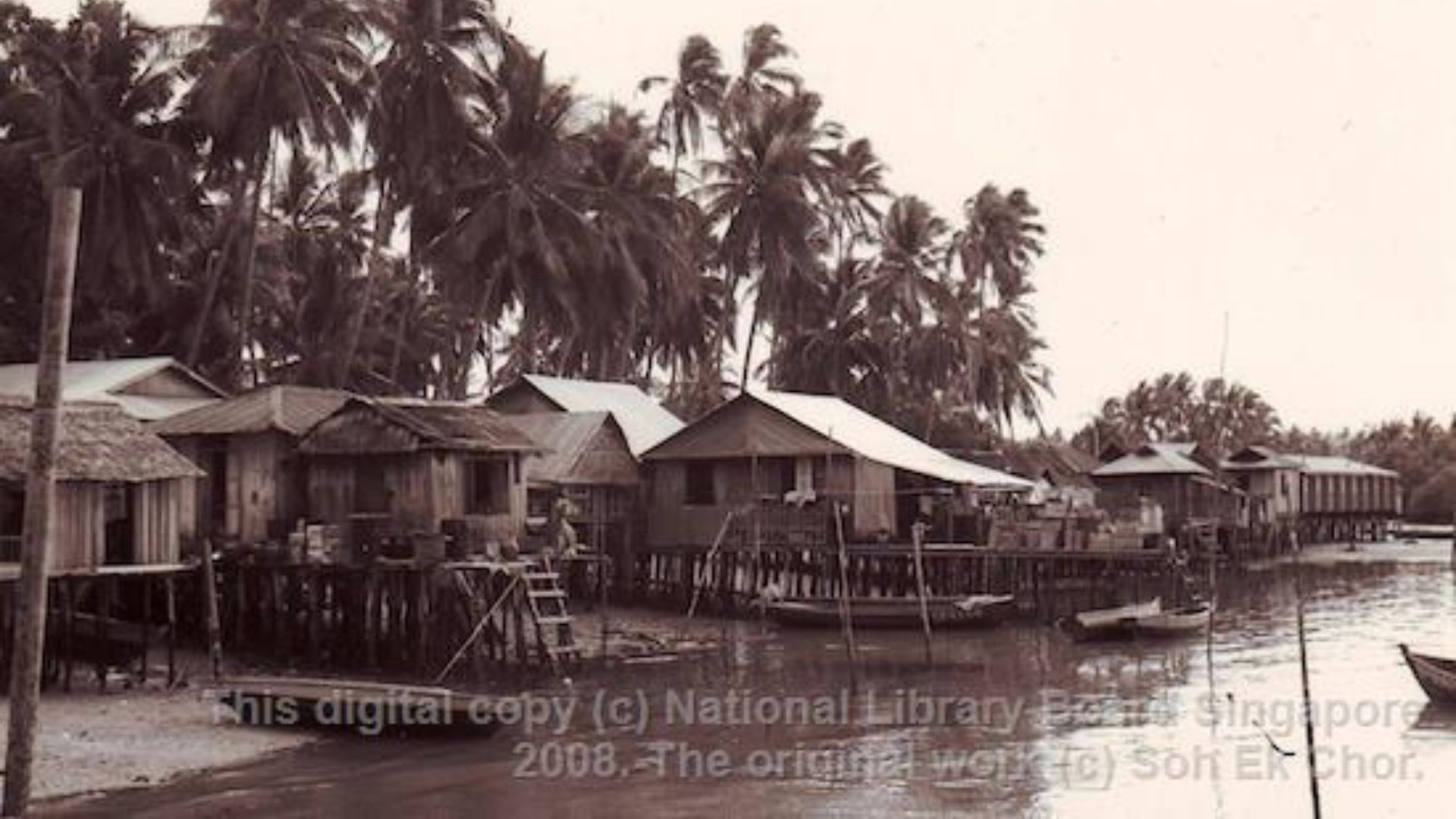 Semakau Island: A Secret Sanctuary That Went From Trash To Treasure